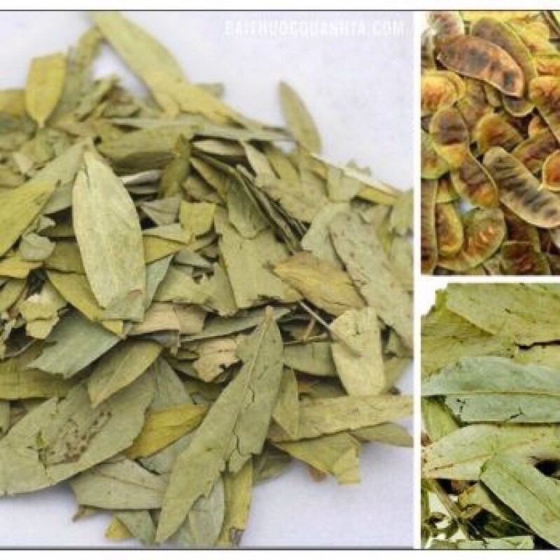 lá phan tả diệp 500g -1kg | Shopee Việt Nam