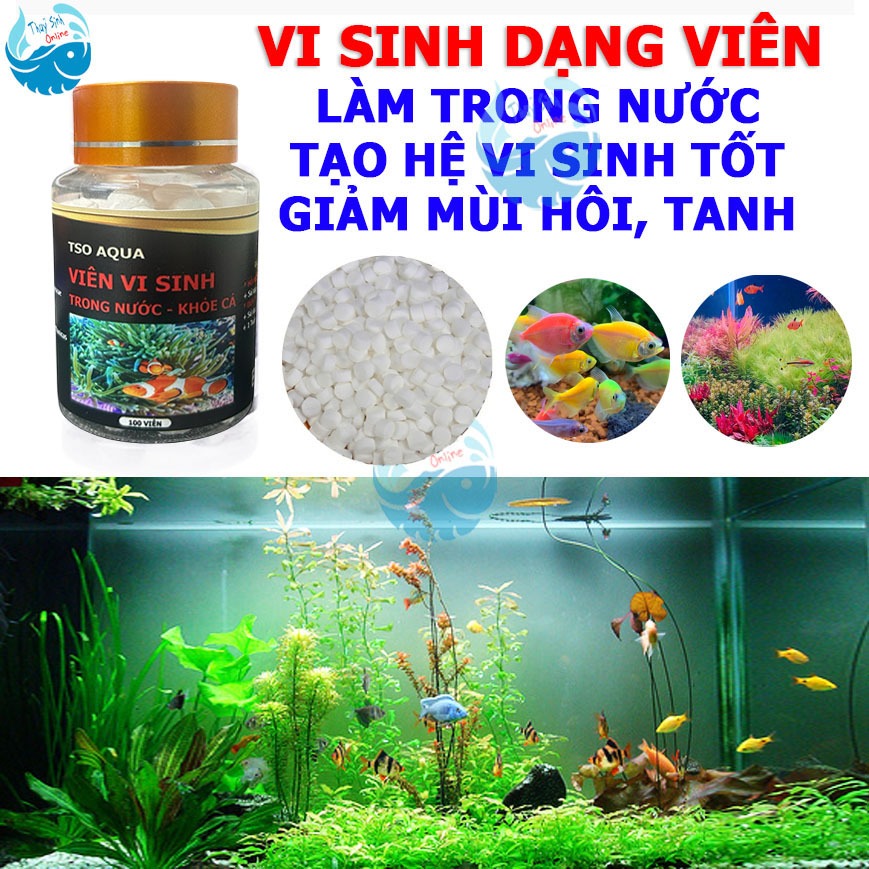 Viên vi sinh làm trong nước, khử mùi hôi, tanh, tạo môi trường vi sinh ...