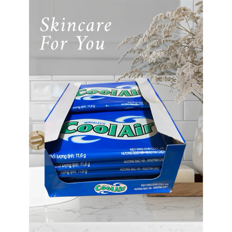 Kẹo Nhai Kẹo Cao Su Sin-Gum, CoolAir Hương Bạc Hà Khuynh Diệp ~ Hộp 12 ...