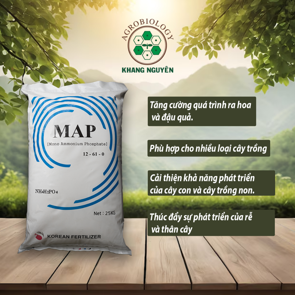 PHÂN BÓN MAP – BỔ SUNG LÂN TINH KHIẾT, KÍCH RỄ KHỎE, TĂNG TRƯỞNG NHANH ...