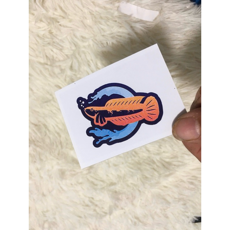 Nhán dán Red pangkalapun 6cm | Shopee Việt Nam