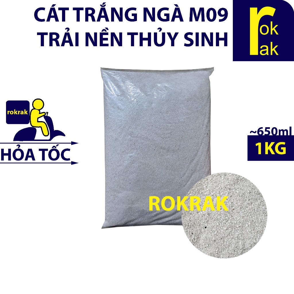 Cát trắng ngà tự nhiên MS09 (1Kg) dùng trang trí hồ cá, thủy sinh | Shopee Việt Nam