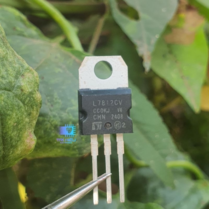 IC ổn áp 12v 1A 7812 L7812CV TO-220 | Shopee Việt Nam