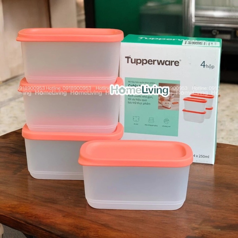 Bộ 4 hộp trữ mát/khô 250ML Mini Rectangular Tupperware , đựng hành tỏi ...
