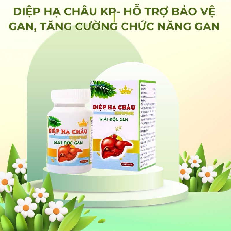 Diệp hạ châu Kingphar 1 -Hộp 40 viên-giải độc gan , tăng cường chức ...
