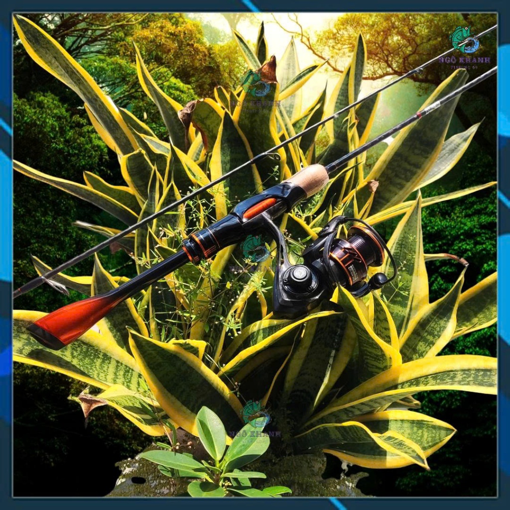 Combo cần câu cá UL Megabarra Monsteria với Máy Megabarra Lates.X SW ...