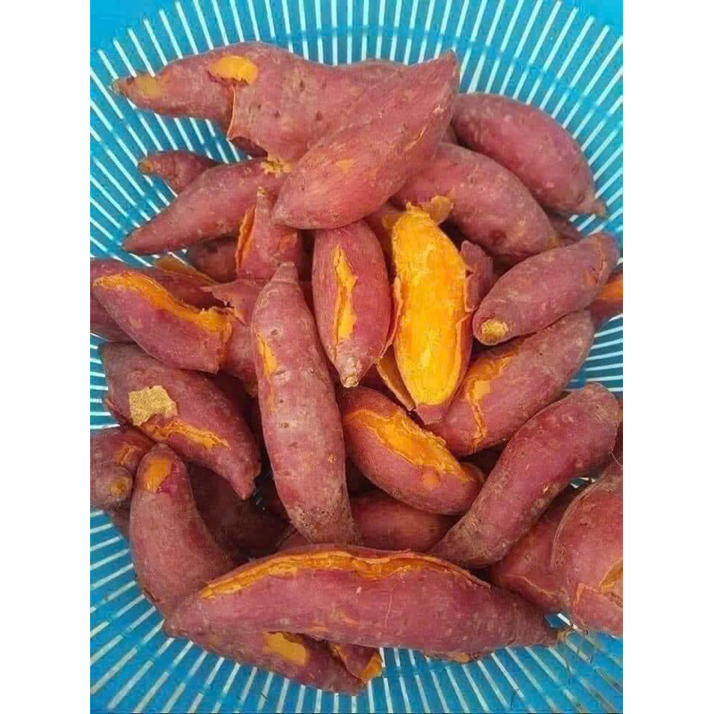 Khoai lang mật | Shopee Việt Nam