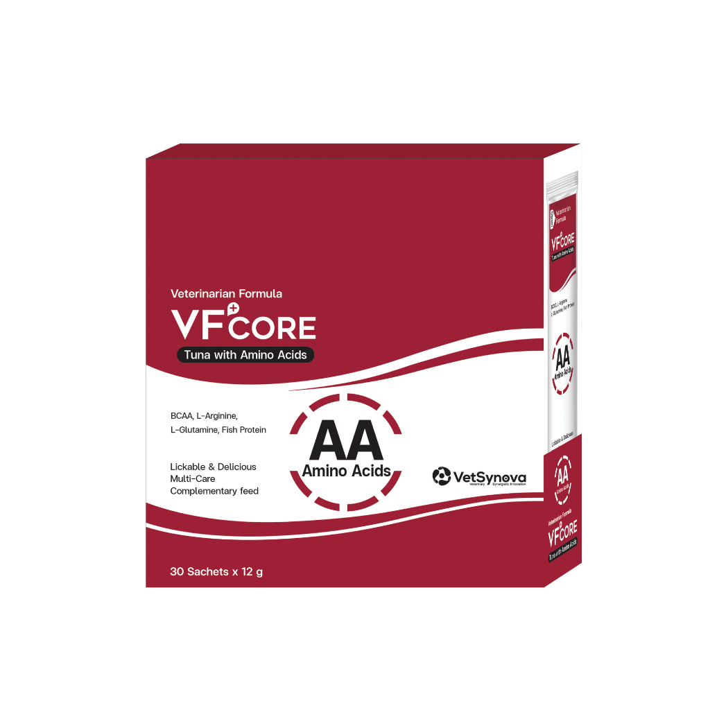 Súp thưởng chức năng chó mèo VF+Core AA 1 hộp (12gx30) | Shopee Việt Nam