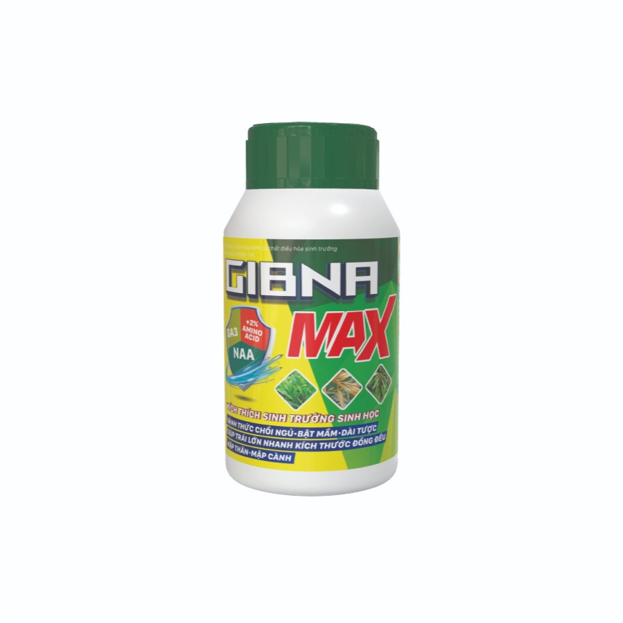Phân bón lá GIBNA MAX Trung Hiệp Lợi có thành phần GA3 và NAA giúp cây ...
