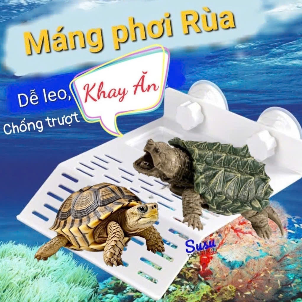 Máng leo cho Rùa, Baba, Ếch phơi nắng, phơi đèn, ăn | Shopee Việt Nam