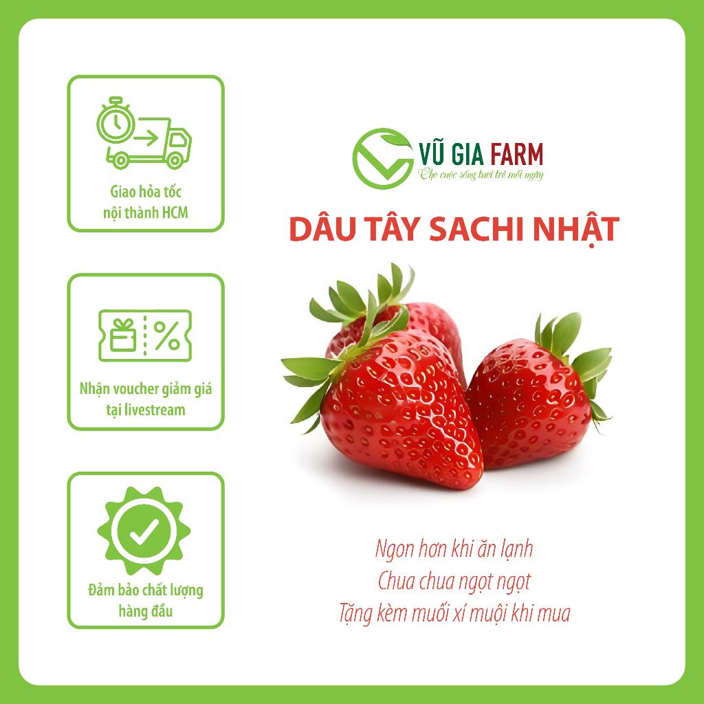 VG FARM Dâu Nhật Sachi Đà Lạt Size 49 (200G/500G/1KG) | Shopee Việt Nam