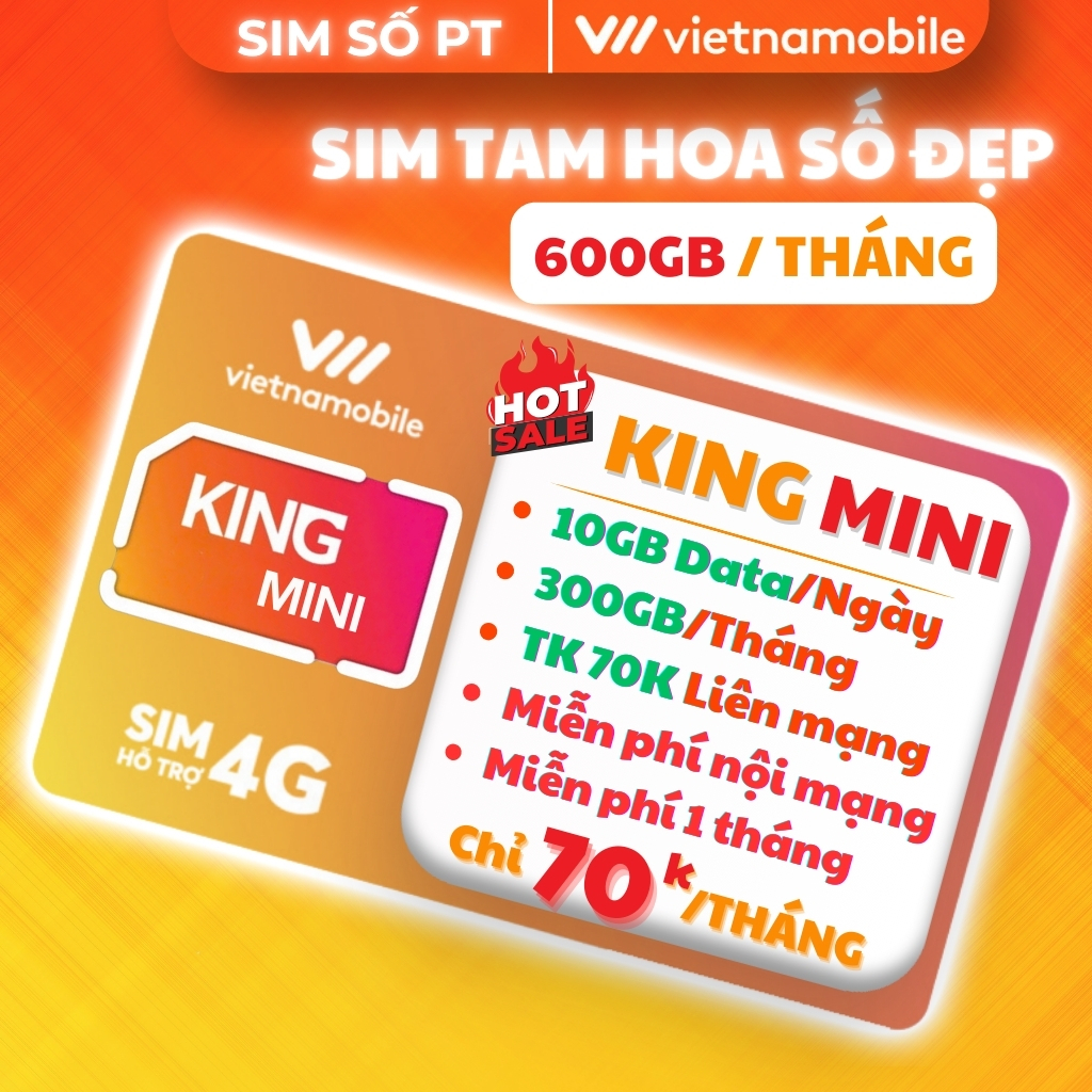 SIM TAM HOA Chính chủ Vietnamobile, KING MINI 300GB/tháng, Miễn phí nội ...