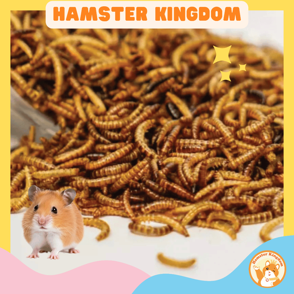 Thức ăn sâu sấy khô cho hamster sâu gạo 20g | Shopee Việt Nam