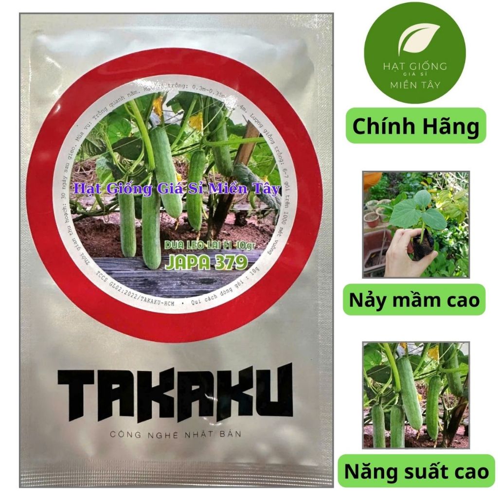 Hạt Giống Dưa Leo Lai F1 JAPA 379 TAKAKU (GÓI 10G) - Trái suông, ruột ...