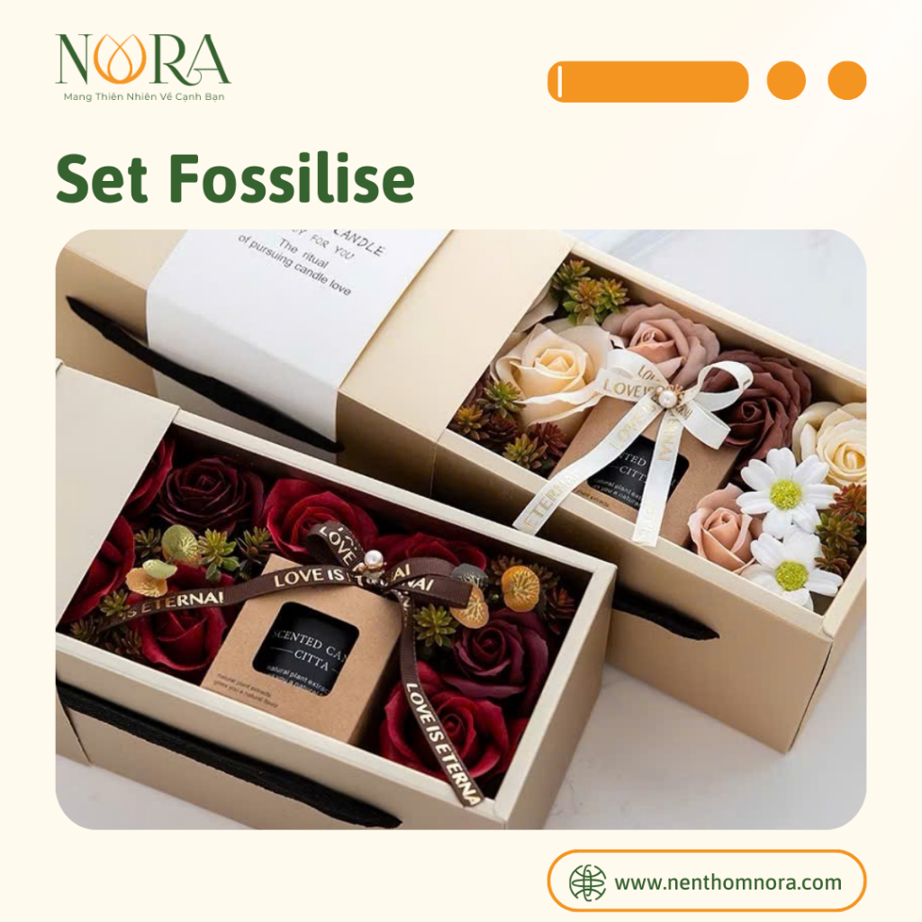 Há P Quã Táº Ng Náº N Thæ M Black Roses Hoa Sã P Cao Cáº P Táº Ng Báº N Gã I Ngã Y Lá