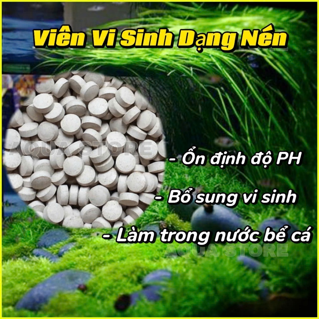 5 Viên Vi Sinh làm trong nước hồ cá - Tạo môi trường vi sinh cân bằng ...