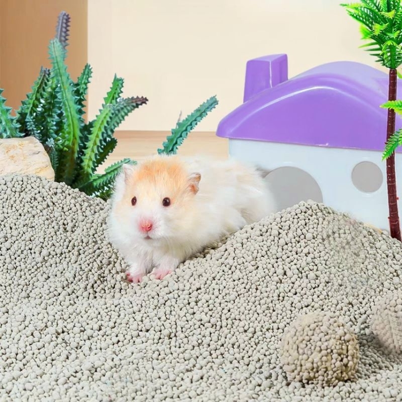 Cát sand thơm 1kg lót chuồng hamster | Shopee Việt Nam