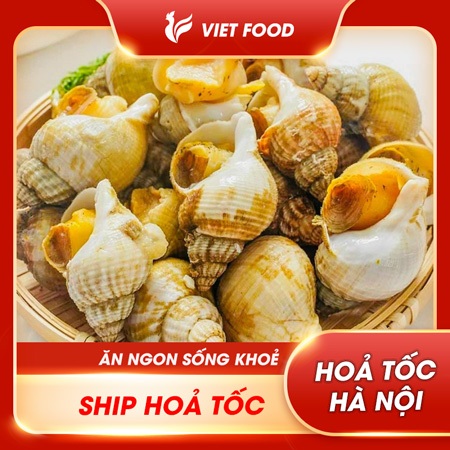 ( Hỏa Tốc HN ) 1kg Ốc Bulot Pháp ( 20-30con/1kg) – Ốc Bulot Nhập Khẩu ...