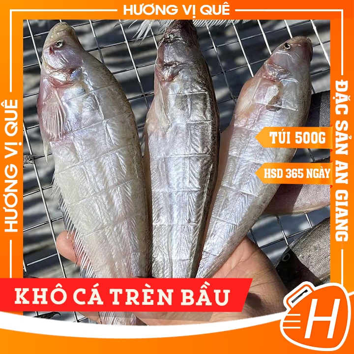Khô Cá Trèn Bầu - Túi Hút Chân Không 500g - Đặc Sản An Giang | Shopee ...