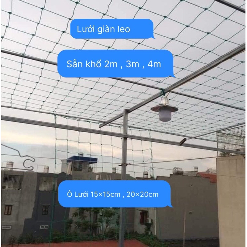 50M Lưới Giàn Leo, Dây Leo Giàn Bầu Bí Màu Đen,Trắng [Khổ 2M + 3M] - Rẻ Nhất Shoppe | Shopee ...