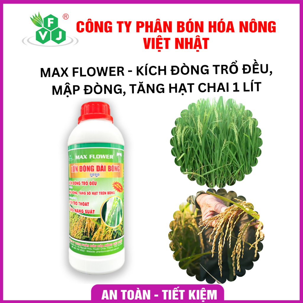 Phân Bón Lúa - Lớn Đòng Dài Bông MAX FLOWER Chai 1 Lít Kích Đòng Trổ ...
