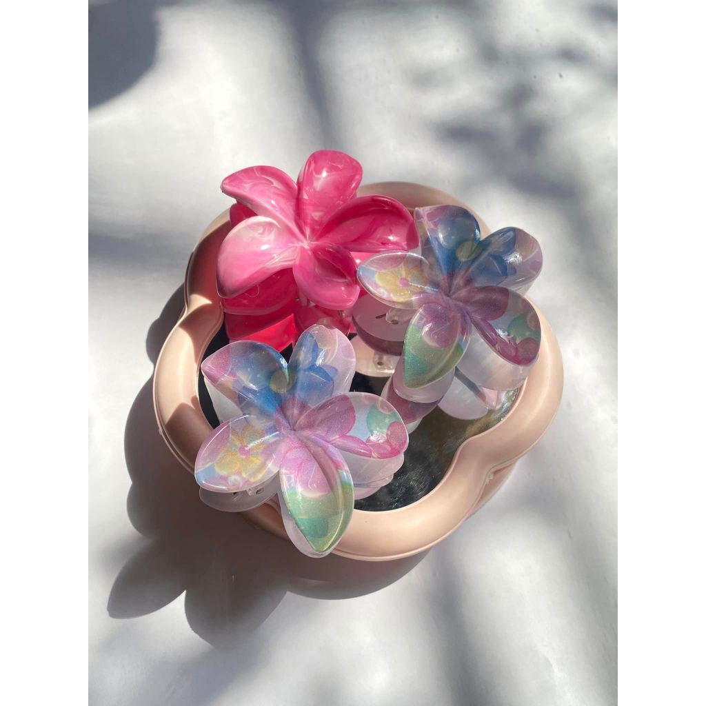 Kẹp tóc hình nơ, bươm bướm Adora kẹp càng cua đẹp cho nữ hot trend ...