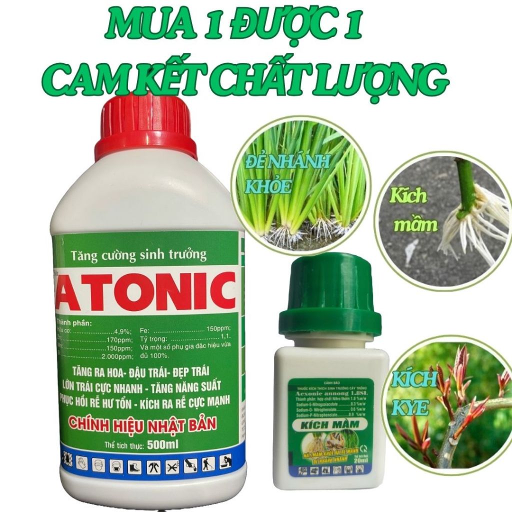 PHÂN BÓN ATONIC 500ML ĐẬM ĐẶC, MUA 1 ĐƯỢC 1, MUA NHIỀU QUÀ CỘNG THÊM ...