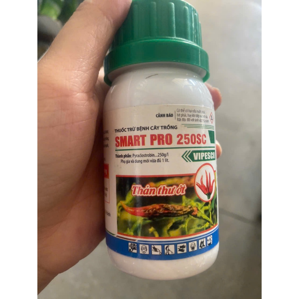 VUA THÁN THƯ ỚT SMART PRO 250SC | Shopee Việt Nam