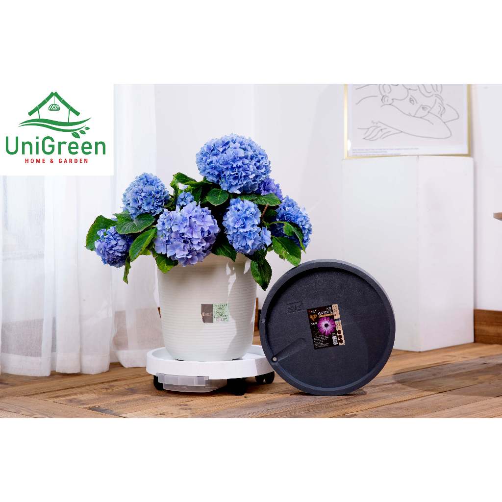 ĐẾ KÊ CHẬU HOA CÂY CẢNH, CÓ BÁNH XE DI CHUYỂN ĐA NĂNG - UNIGREEN HOME &GARDEN | Shopee Việt Nam