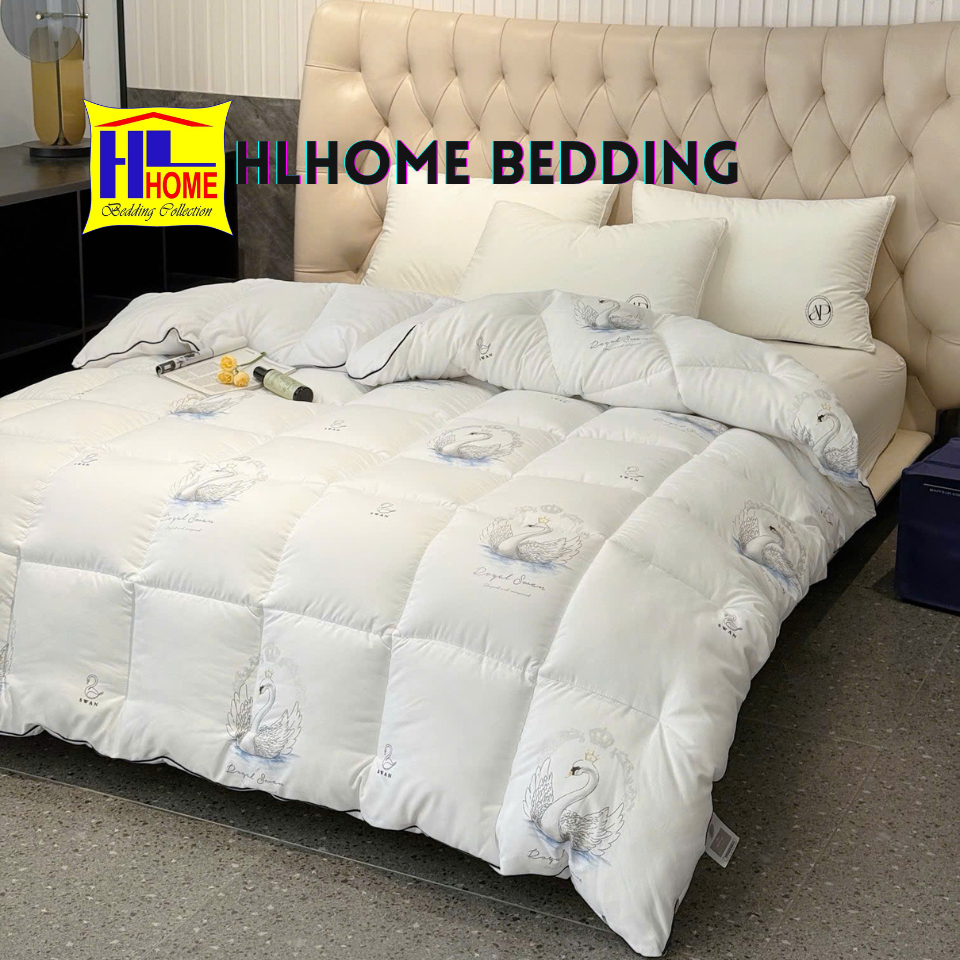 Ruột chăn lông vũ Hinton cao cấp kích thước 2m3 nặng 4 kg chuẩn nhập ...