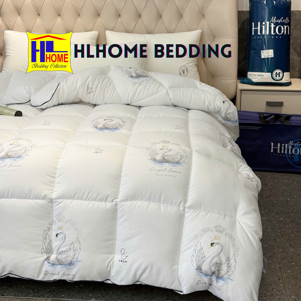 Ruột chăn lông vũ Hinton cao cấp kích thước 2m3 nặng 4 kg chuẩn nhập ...