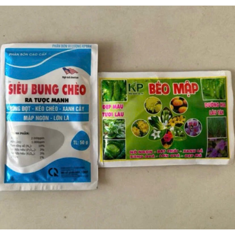 COMBO SIÊU BUNG CHÈO + BÉO MẬP kích thích bung tược nhanh- lá to xanh ...