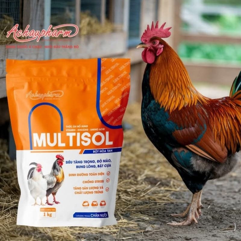 MULTISOL 100G BỔ SUNG VITAMIN - KHOÁNG - AMINO ACID CHO GIA CẦM ...