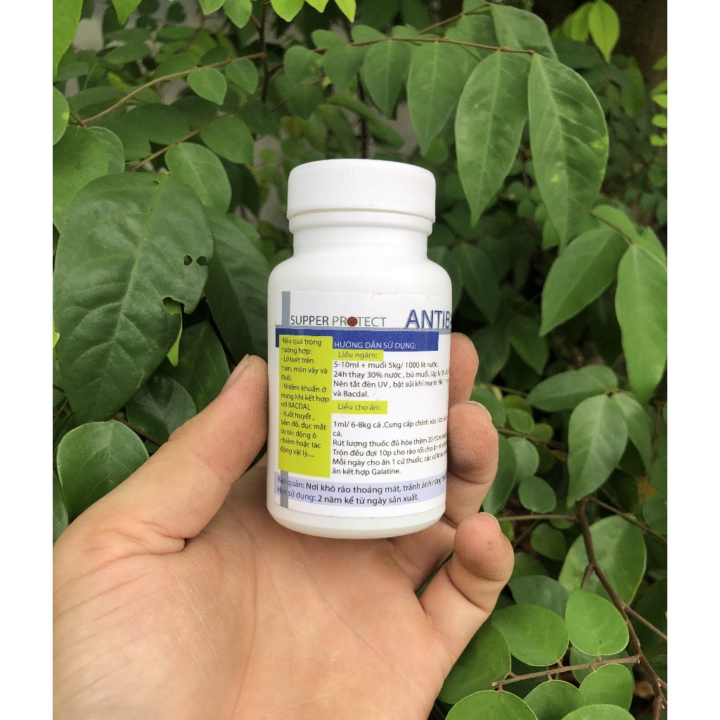 Antibac Max xử lý nhiễm khuẩn, lở loét, đục mắt, thối mang cá cảnh, cá ...