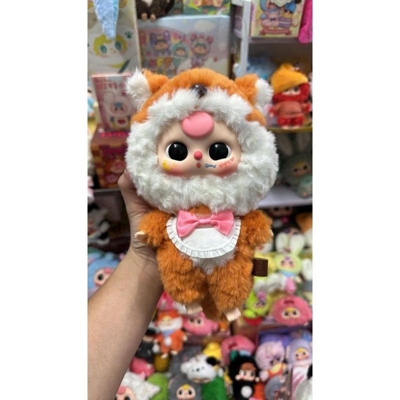 pass baby three v3 shiba vừa mới khui có yếm | Shopee Việt Nam