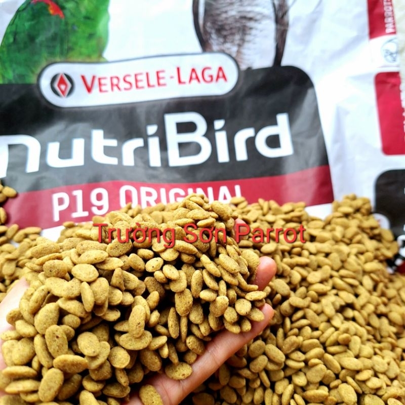 Thức ăn viên hoàn chỉnh cho vẹt trung và lớn nutri Bird P19 original ...