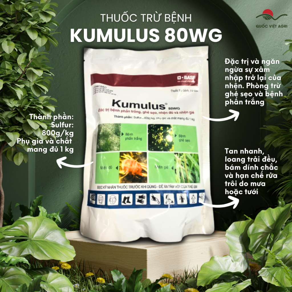 Thuốc trừ bệnh KUMULUS 80WG (gói 1KG) - Sulfur 800g/kg Trừ bệnh phấn ...