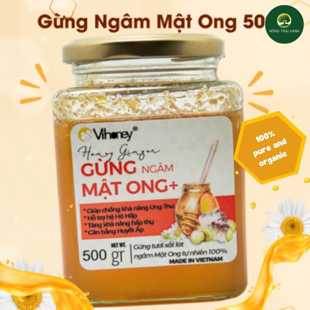 Gừng ngâm mật ong Nông Trại Xanh 500g, hỗ trợ đề kháng sức khỏe, cảm ...