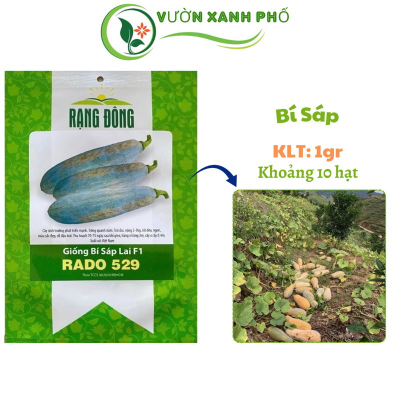 Hạt giống Bí Sáp Lai F1 RD 529 (gói 1gr khoảng 10 hạt) năng suất cao, trồng quanh năm | Shopee ...