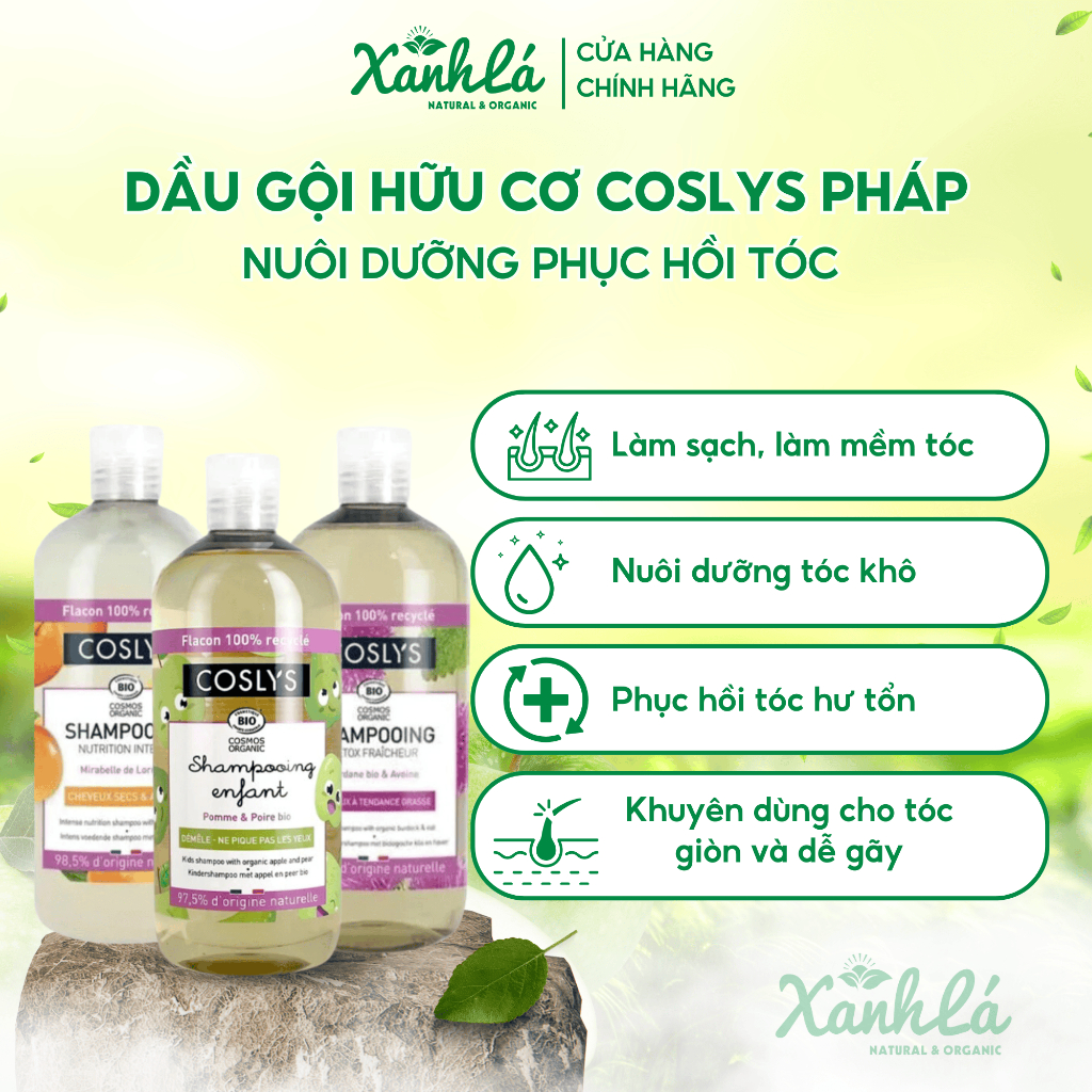 Dầu Gội Hữu Cơ Coslys Pháp Nuôi Dưỡng Phục Hồi Tóc Hư Tổn Chuyên Sâu Chai 500ml | Shopee Việt Nam