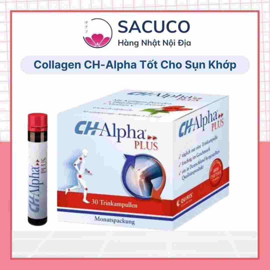 Collagen - CH-Alpha Plus Chuyên Biệt Cho Sụn Khớp | Shopee Việt Nam