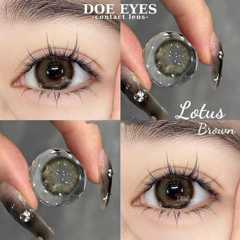 LOTUS BROWN - Kính áp tròng DOE EYES - Lens Douyin full độ 0.00 - 7.00 ...