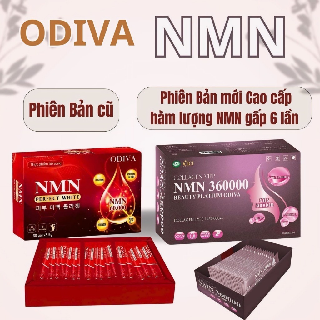Combo 3 Hộp Collagen NMN 360.000 ODIVA - 3 hộp x 30 gói x 3,5g/gói - Mẫu mới cao cấp hàm lượng ...