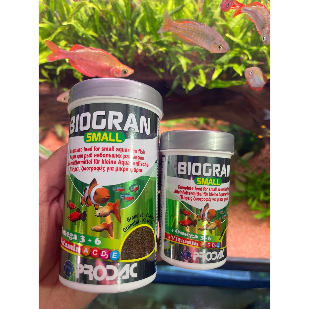 Thức ăn dạng hạt dành cho cá nhỏ Prodac Biogran small | Shopee Việt Nam