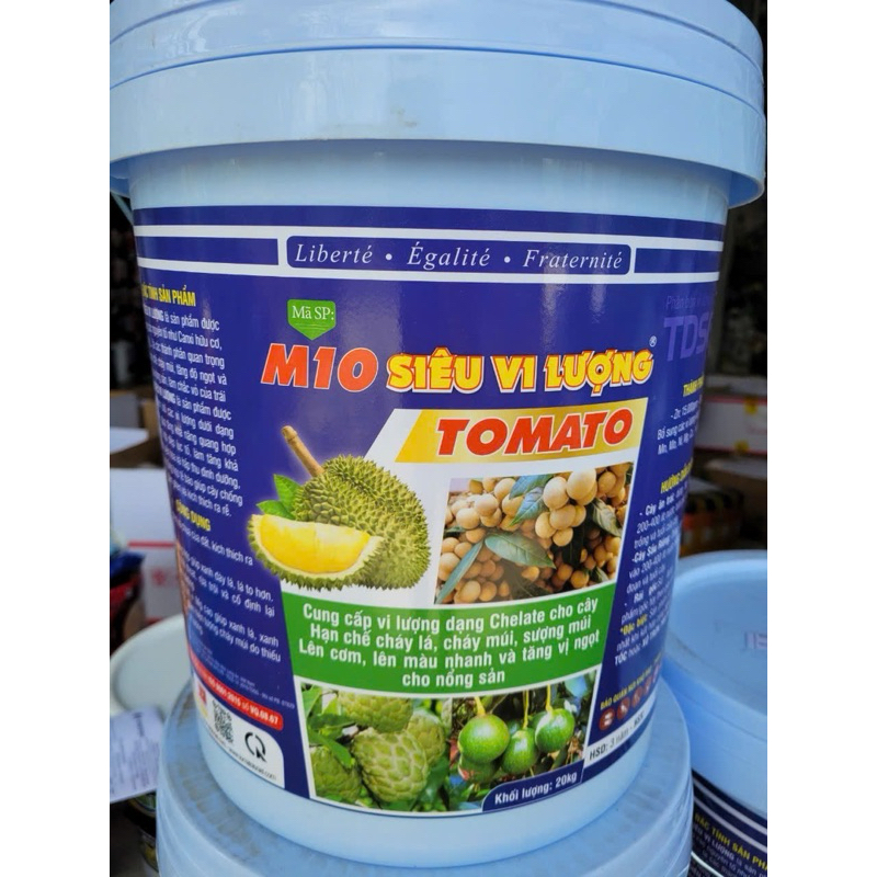 Xô SIÊU VI LƯỢNG M10 tomato (20kg) | Shopee Việt Nam