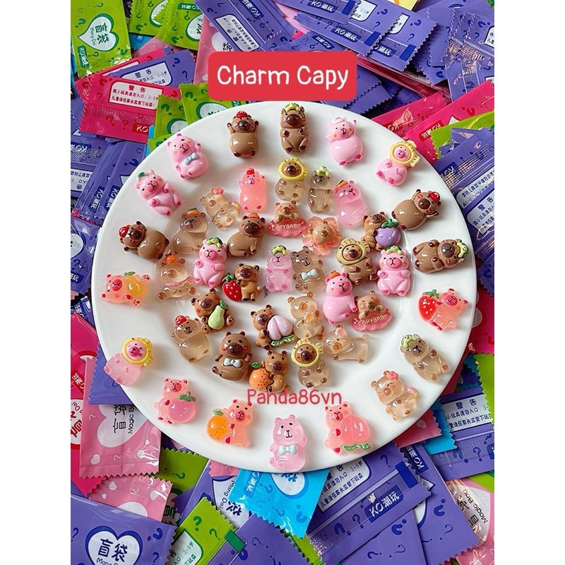 Set 100 Charm CapyBara Không Túi Mù Dễ Thương - Charm Capy Dạ Quang ...