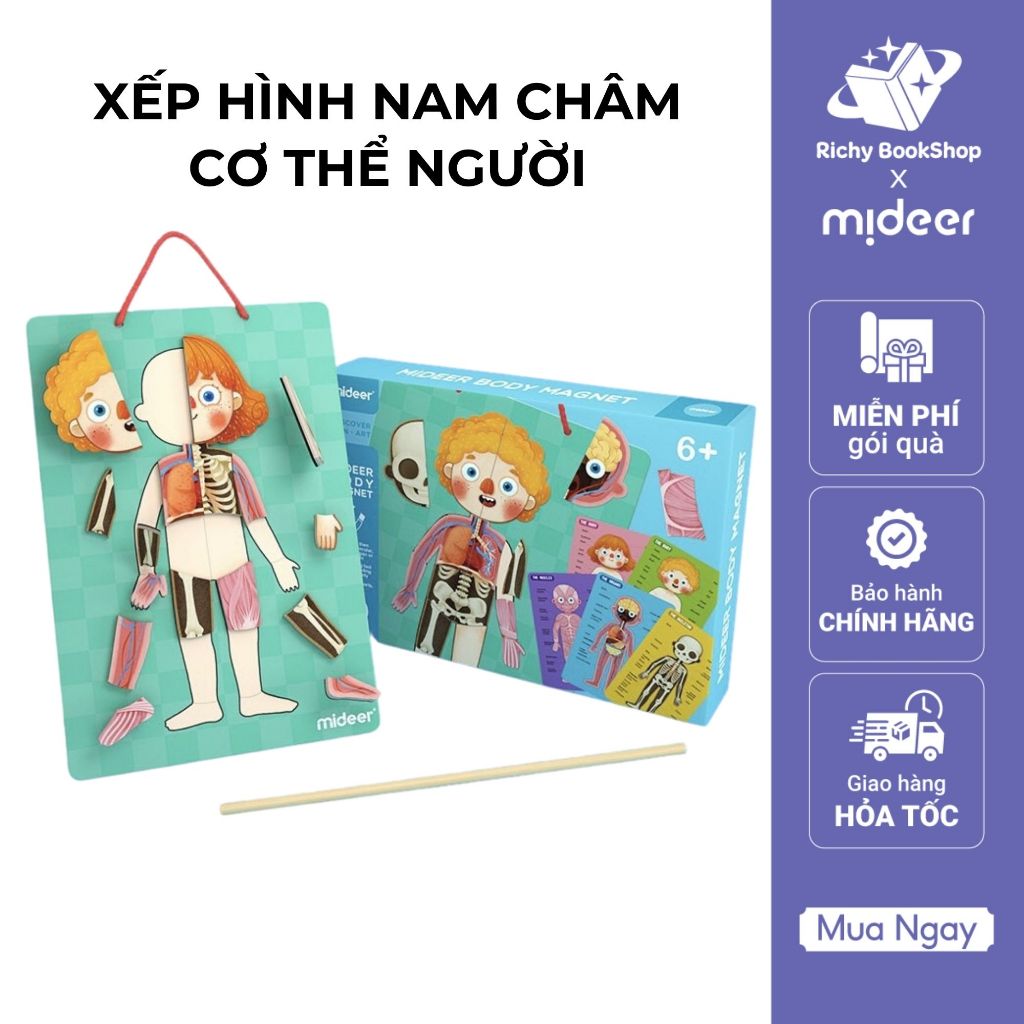 Đồ Chơi Xếp Hình Nam Châm Cơ Thể - Mideer Human Body Magnetic Puzzle ...