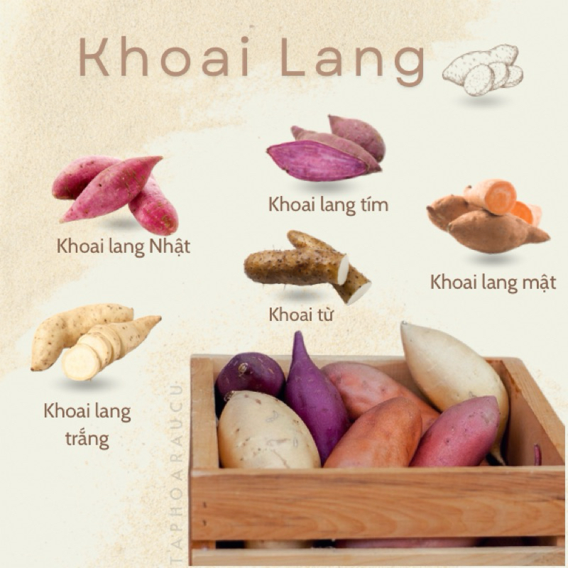 Khoai Lang Nhật/ Khoai Lang mật/ Khoai Lang Tím/ Khoai Từ/ Khoai lang Trắng | Shopee Việt Nam