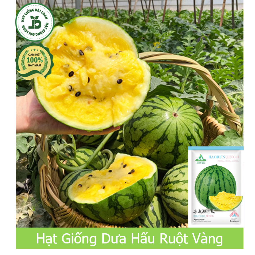 Hạt Giống Dưa Hấu Ruột Vàng Nhập Khẩu Đài Loan Nguyên Gói 20 Hạt
