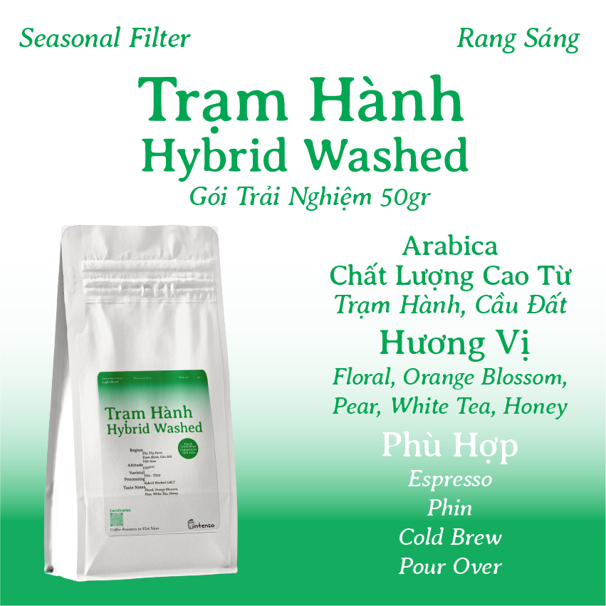 (Gói 50g) Cà Phê Rang Sáng - TN9 -TN10 Hybrid Washed - Intenso Coffee Roasters | Shopee Việt Nam